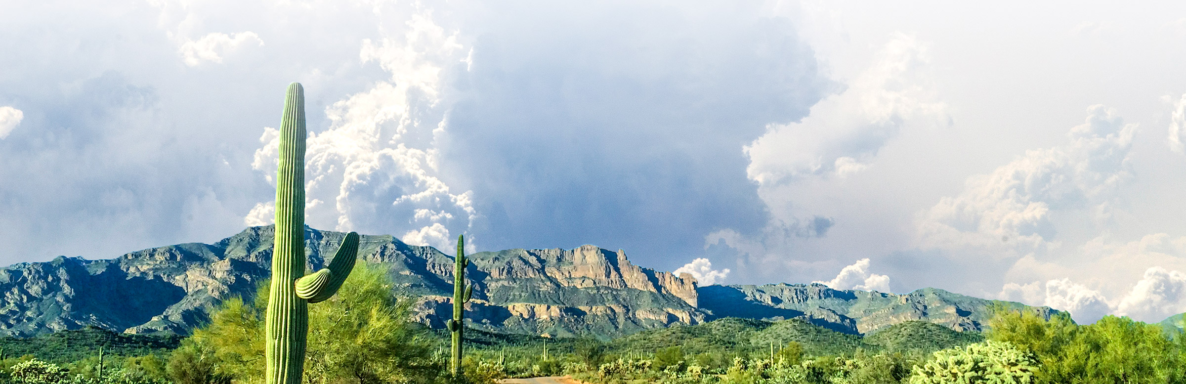 MM&T - Mission Management & Trust Co.